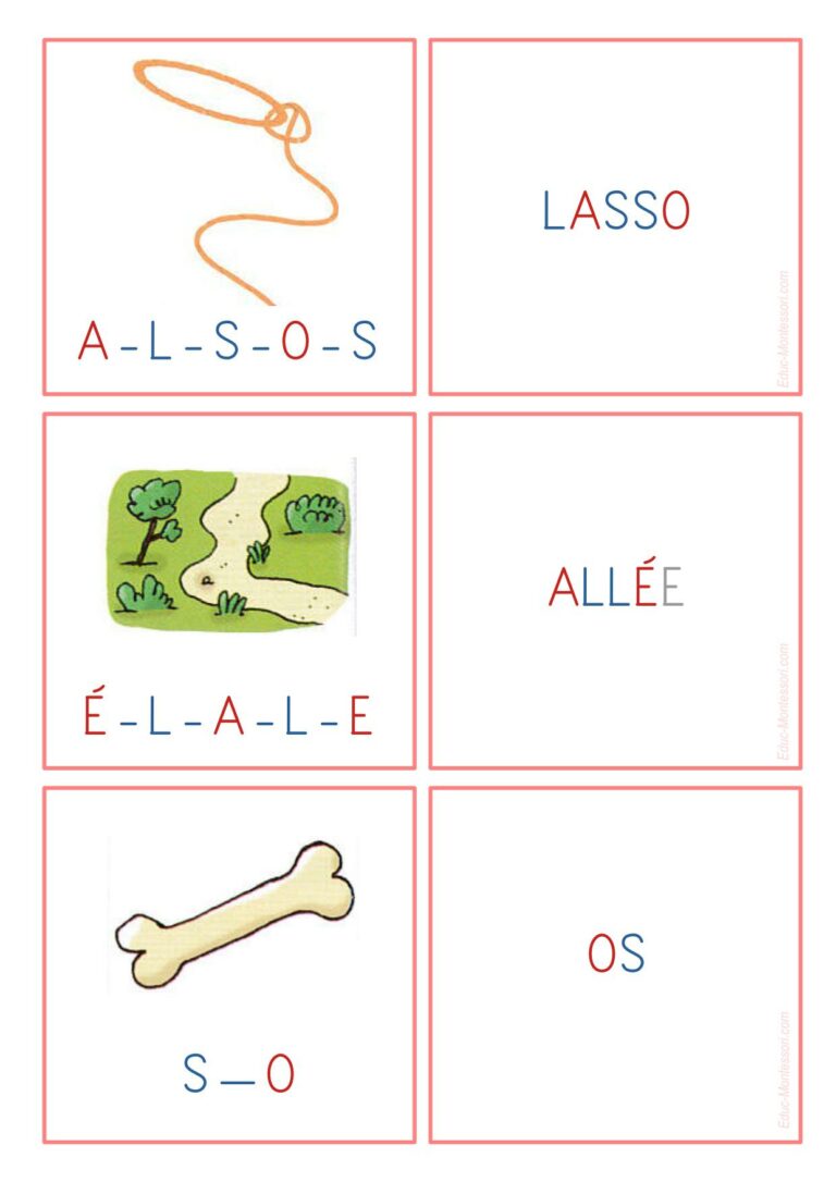 Atelier Montessori avec le vocabulaire de Taoki : dictées muettes ...